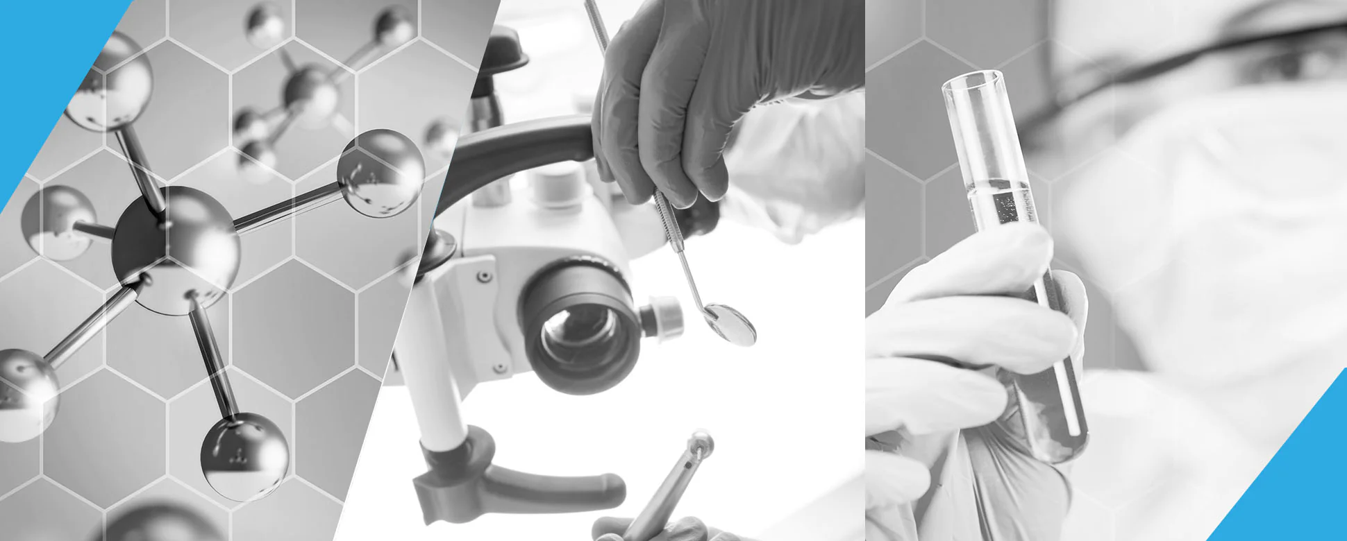 Pikos Institute - PhytoDental Solutions